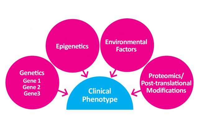 Imaging Phenomics - Median Technologies